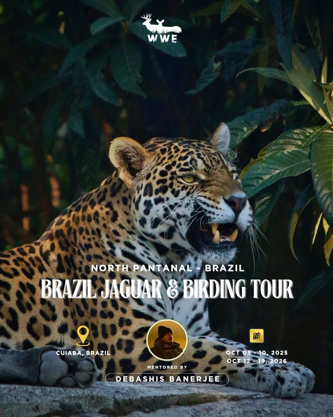 Renowned Wildlife Tour Company | Wild Wonders Expeditions
